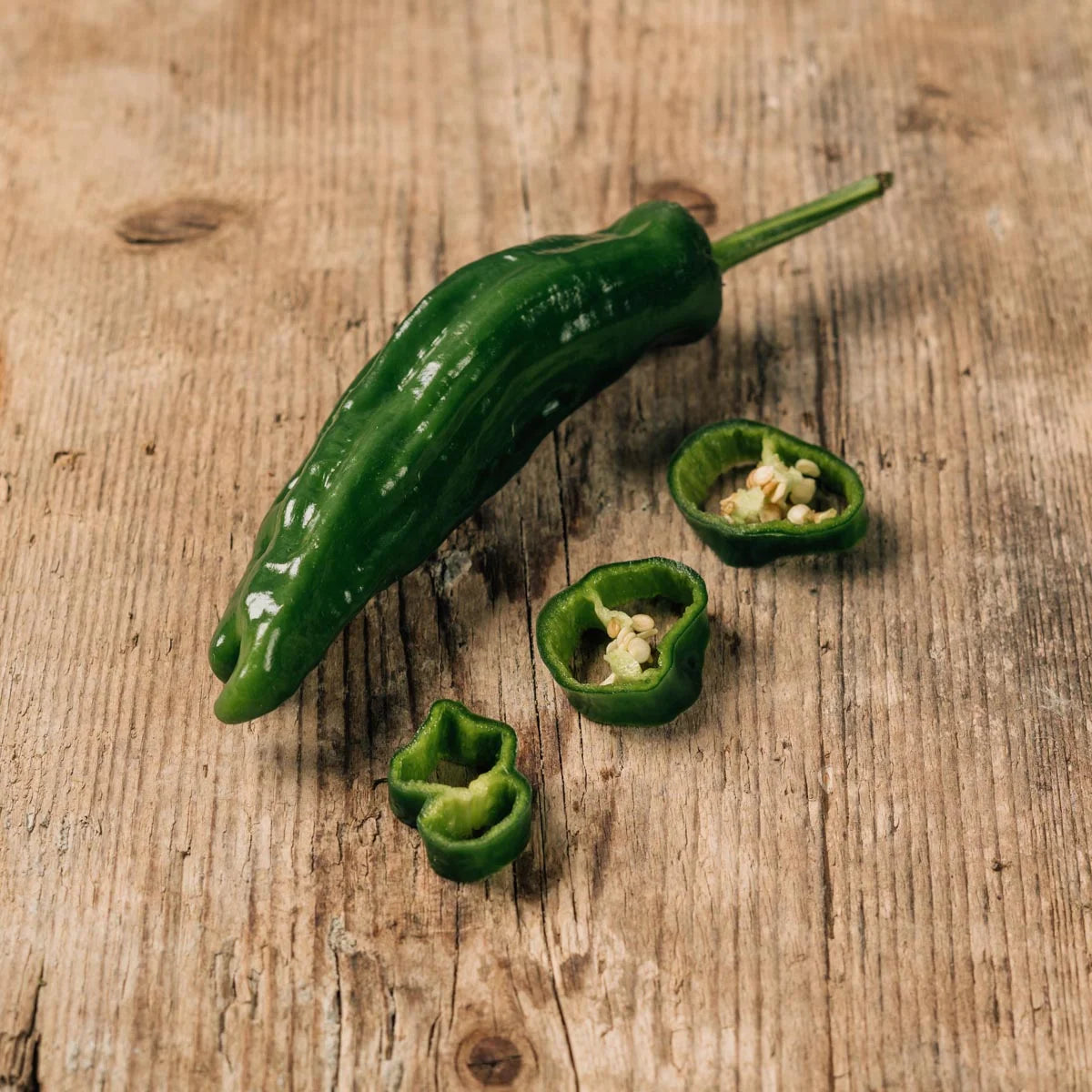 Biologische Peper 'Pimientos de Padrón' – Moestuin Mania